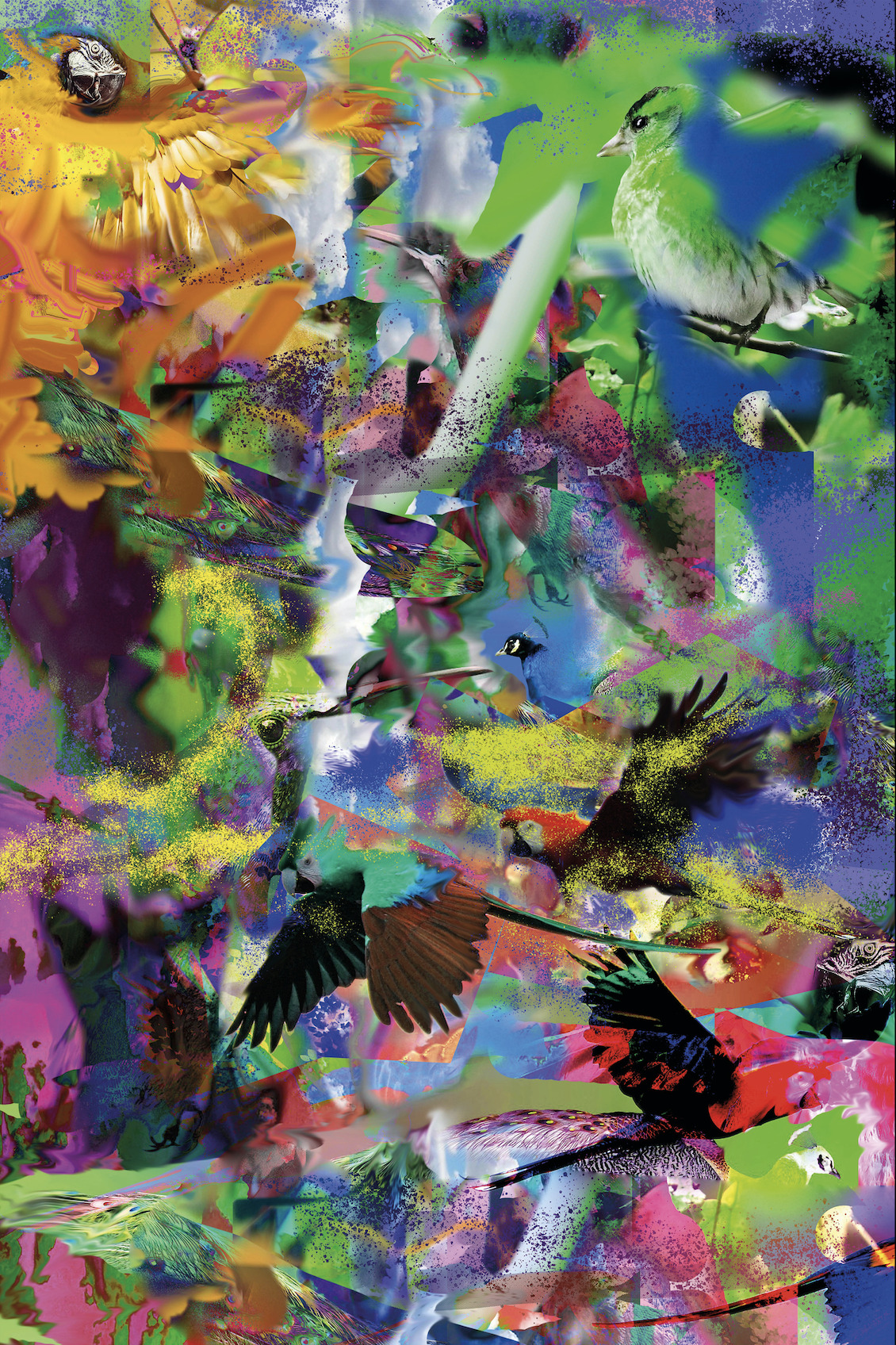 Gender is a galaxy | Diversity Roadmap